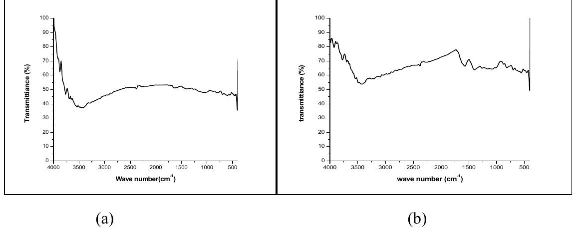 Ftir-spectra of tfw biochar at temperature (a) 500°c (b)