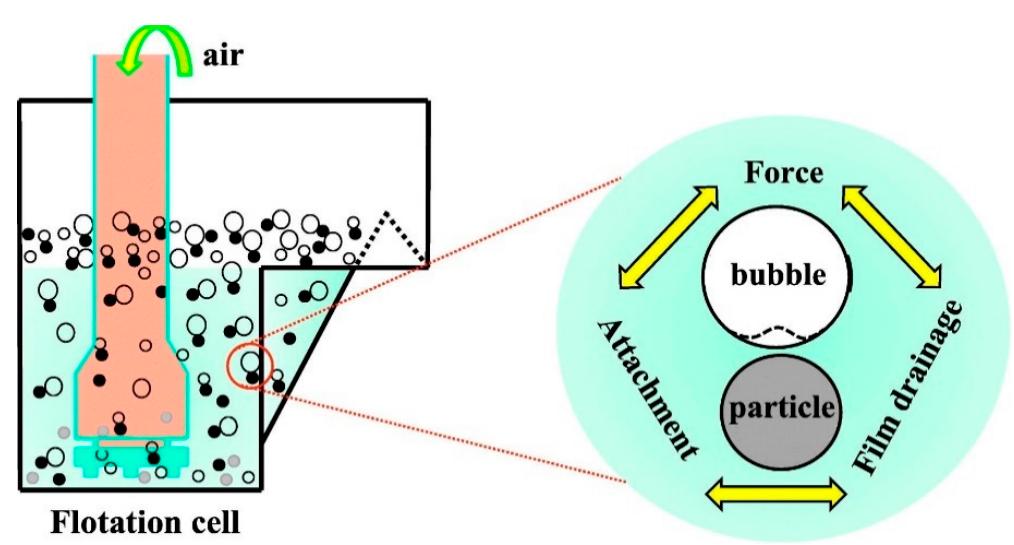 Concept of dissolved air flotation (daf) system. reprinted