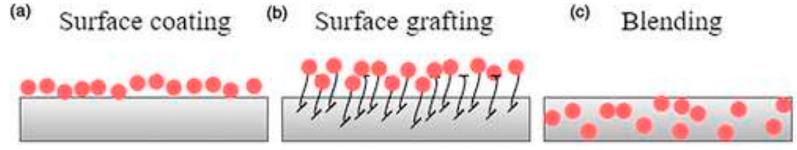 Schematic Of Different Membrane Modification Techniques