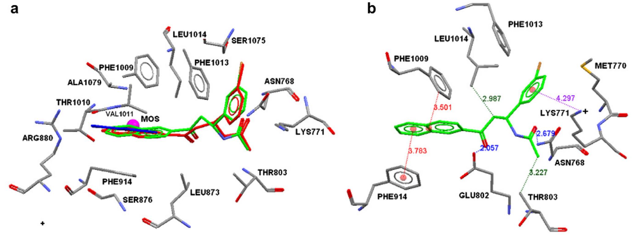 (a) docking conformation of r and s isomers of 3s at