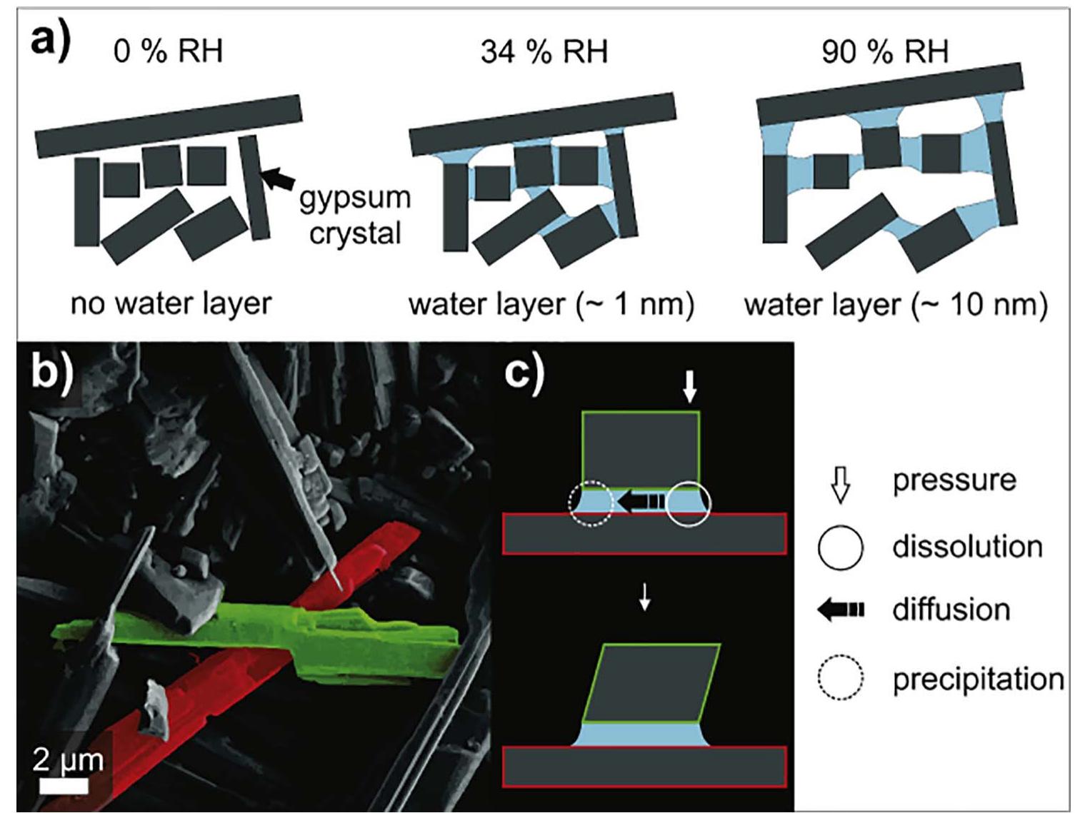 A) schematic cross-section of polycrystalline gypsum at