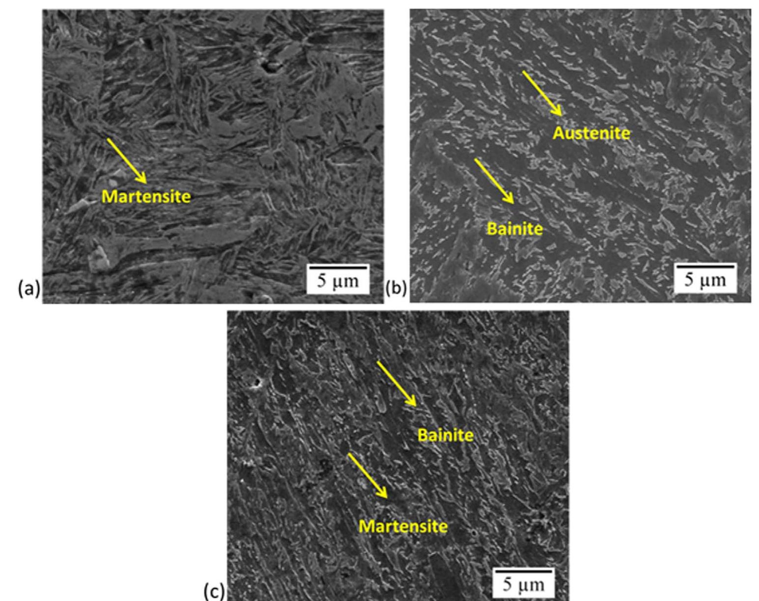Scanning electron micrograph of a) martensite, b) alloy 1