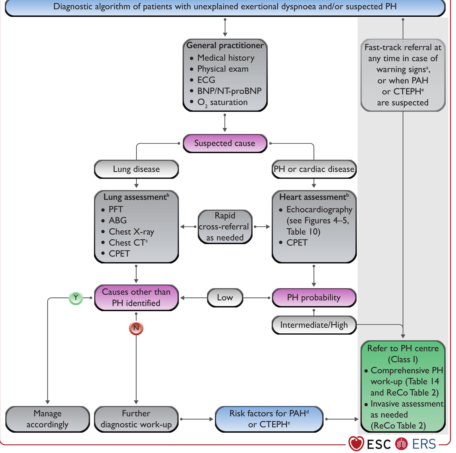 Diagnostic Algorithm Of Patients With Unexplained Dyspnoea