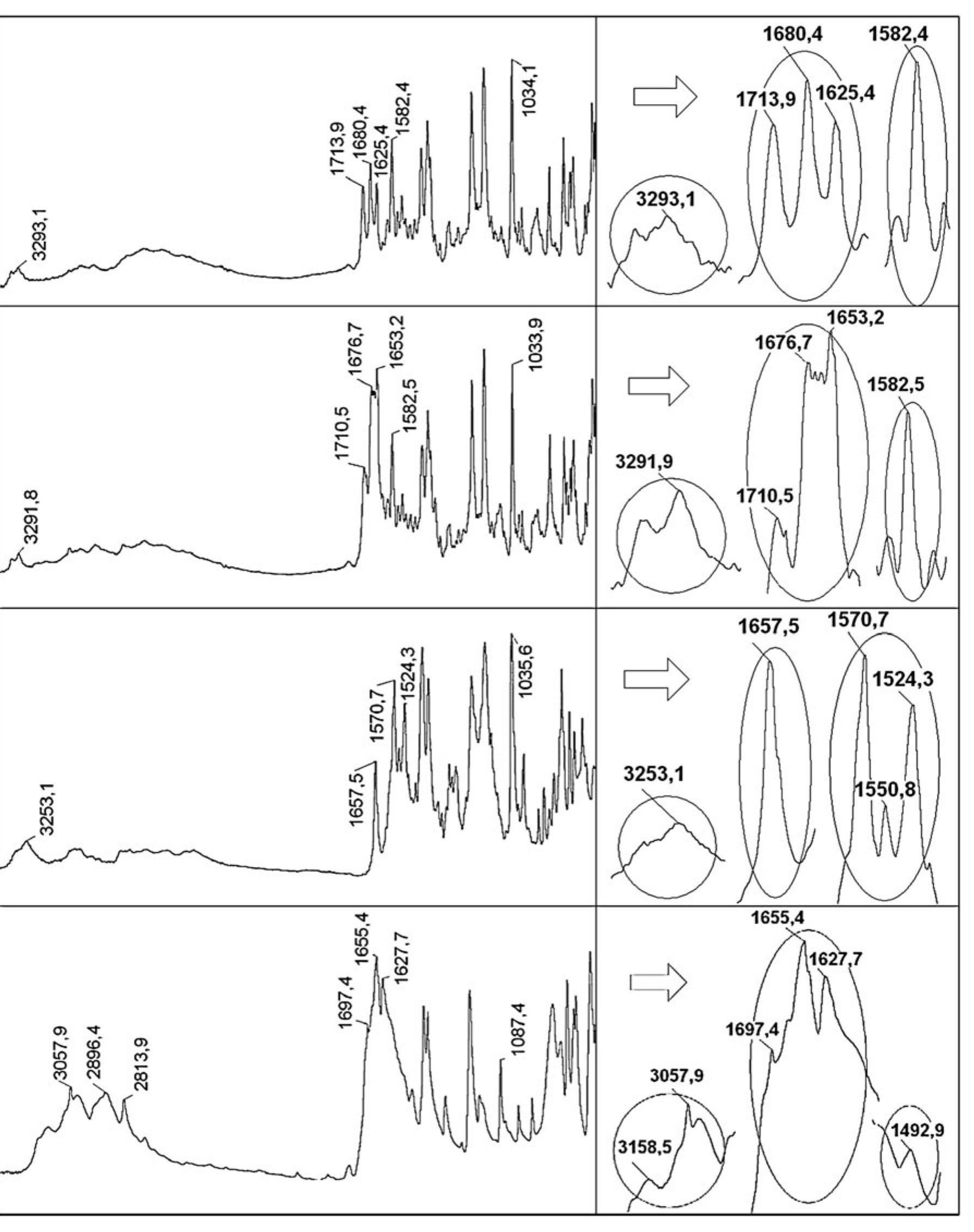 Examples of ftir spectra used to identify potential