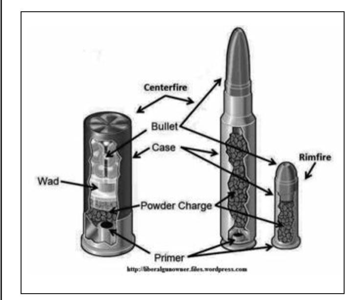 Schematic diagram of typical cartridges. (access date: