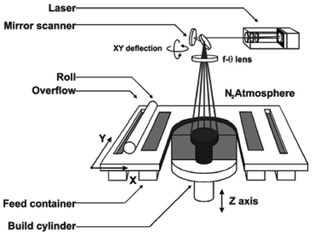 Schematic representation showing the main features of