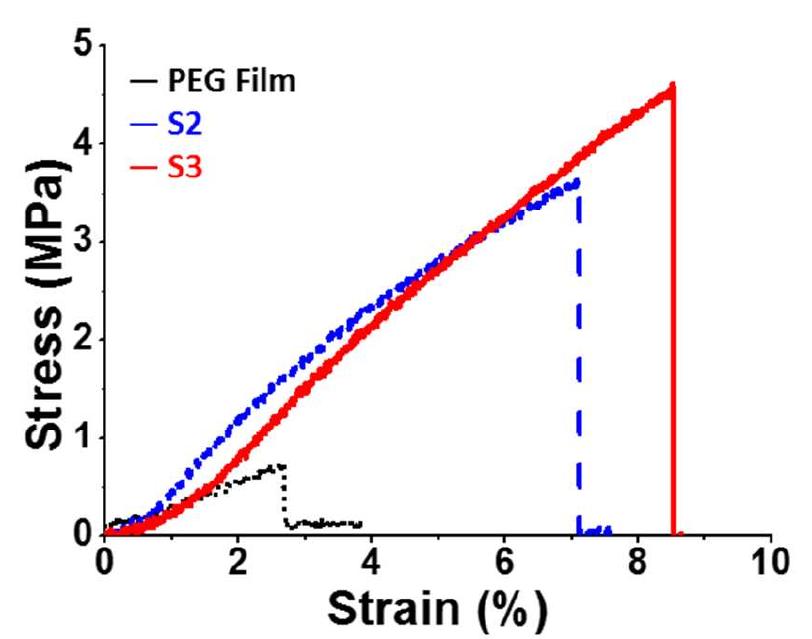 Stress-strain curves of peg film (black, dot), s2 (blue,