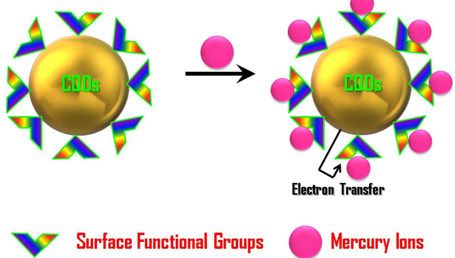 The sensing mechanism of fluorescence quenching of cqds-hg”*