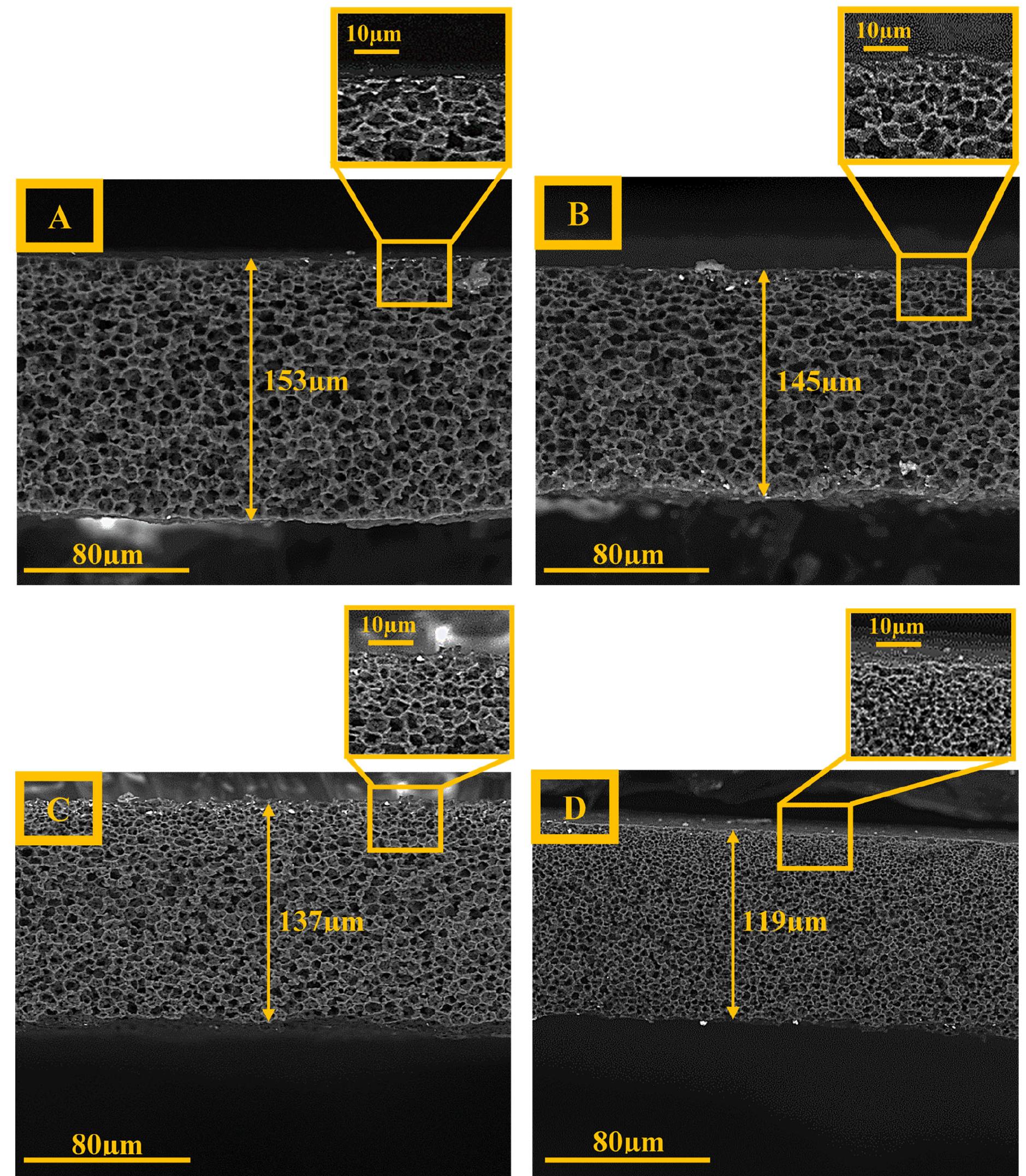 The cross-section sem images (1000x) for pa6 membranes with