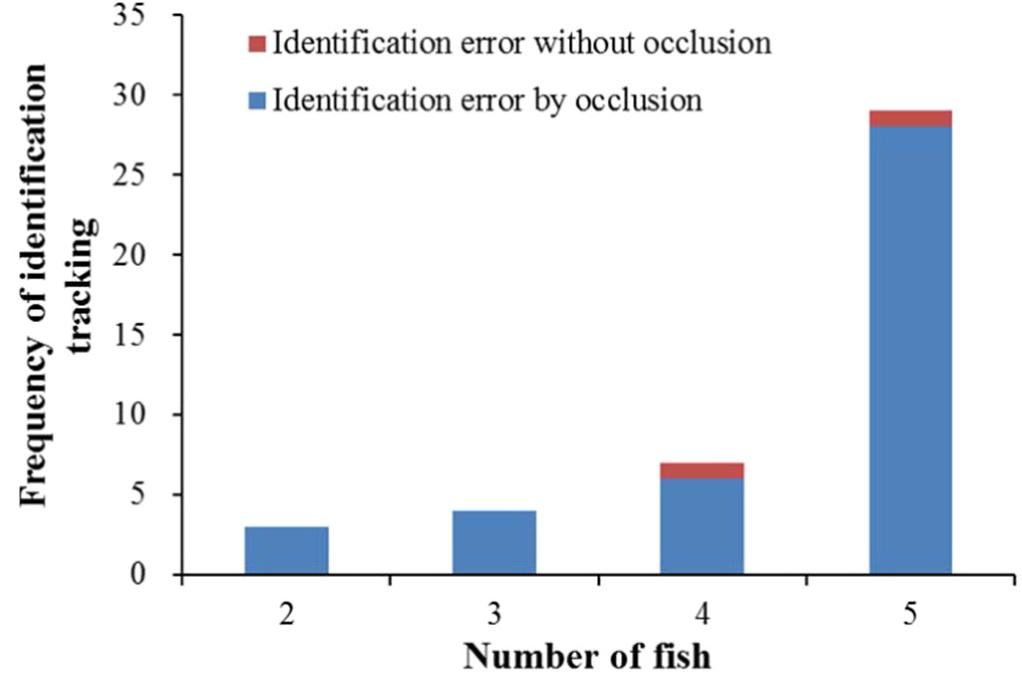 Identification errors on fish head and tail.