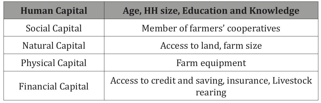 The five different capitals and used indicators. livelihood