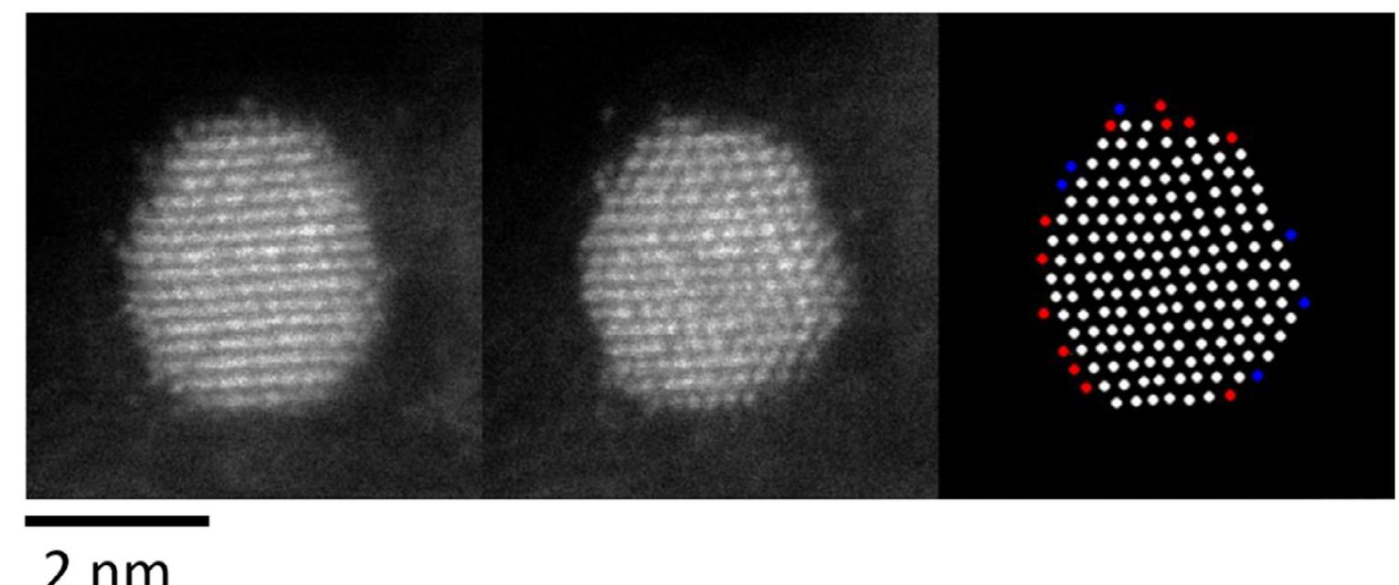 Identical location scanning transmission electron microscopy