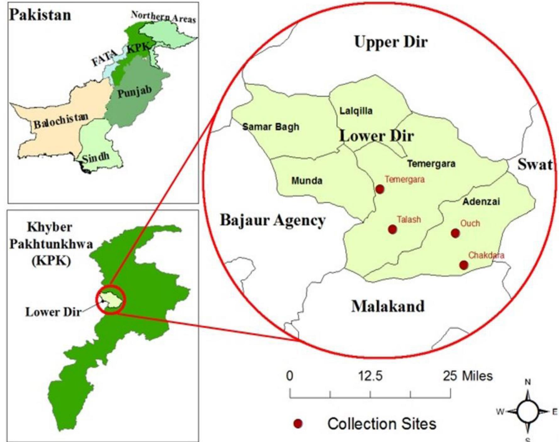 Left upper is map of pakistan, left lower is the khyber