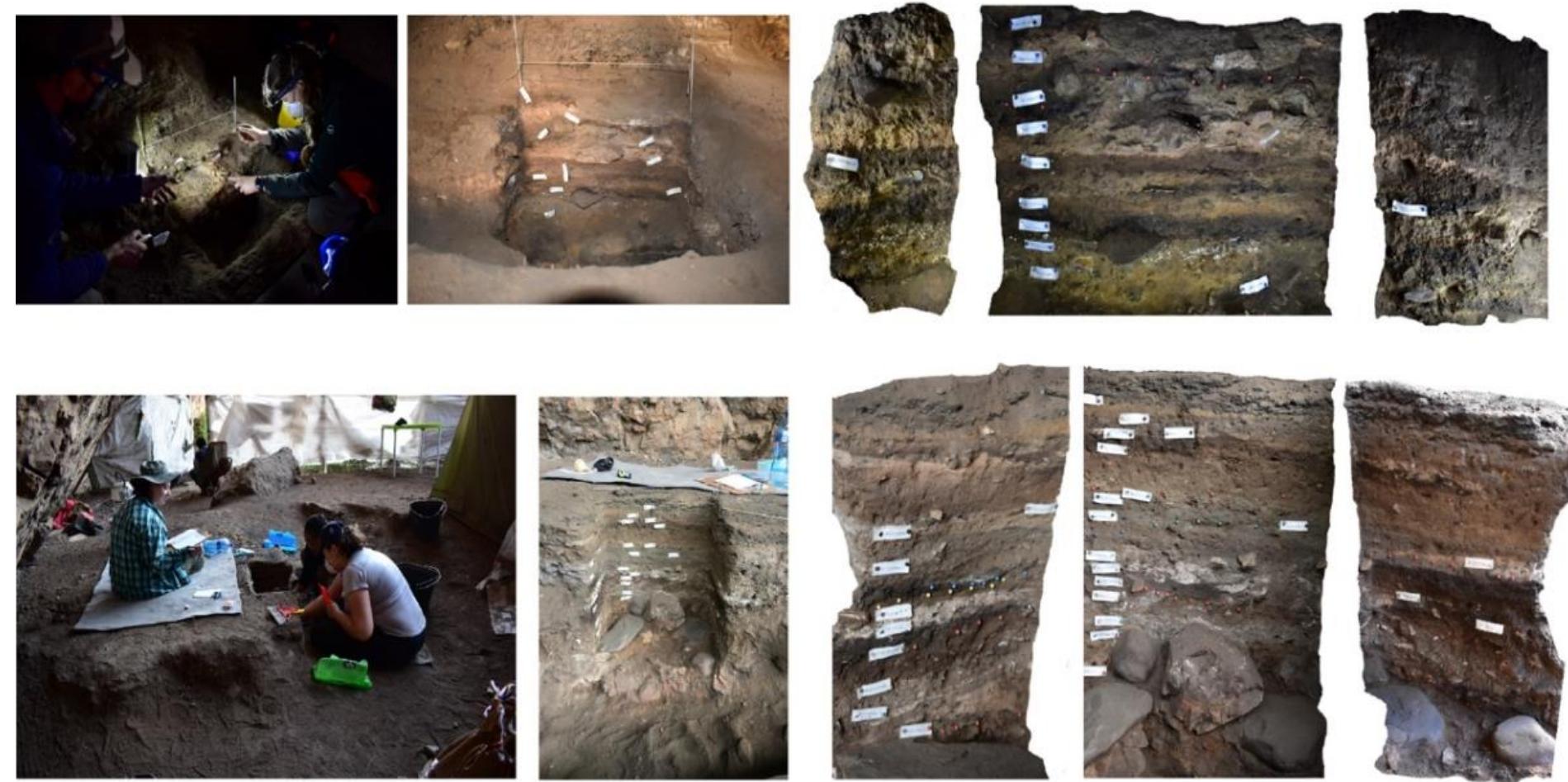 Top row: excavation and profile images of fg22. note the