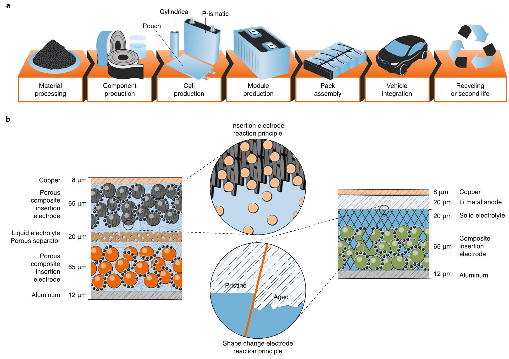 | battery value chain and lithium ion versus li-metal cell