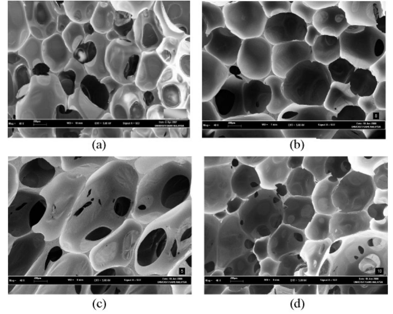 Sem micrographs of puf samples prepared at different