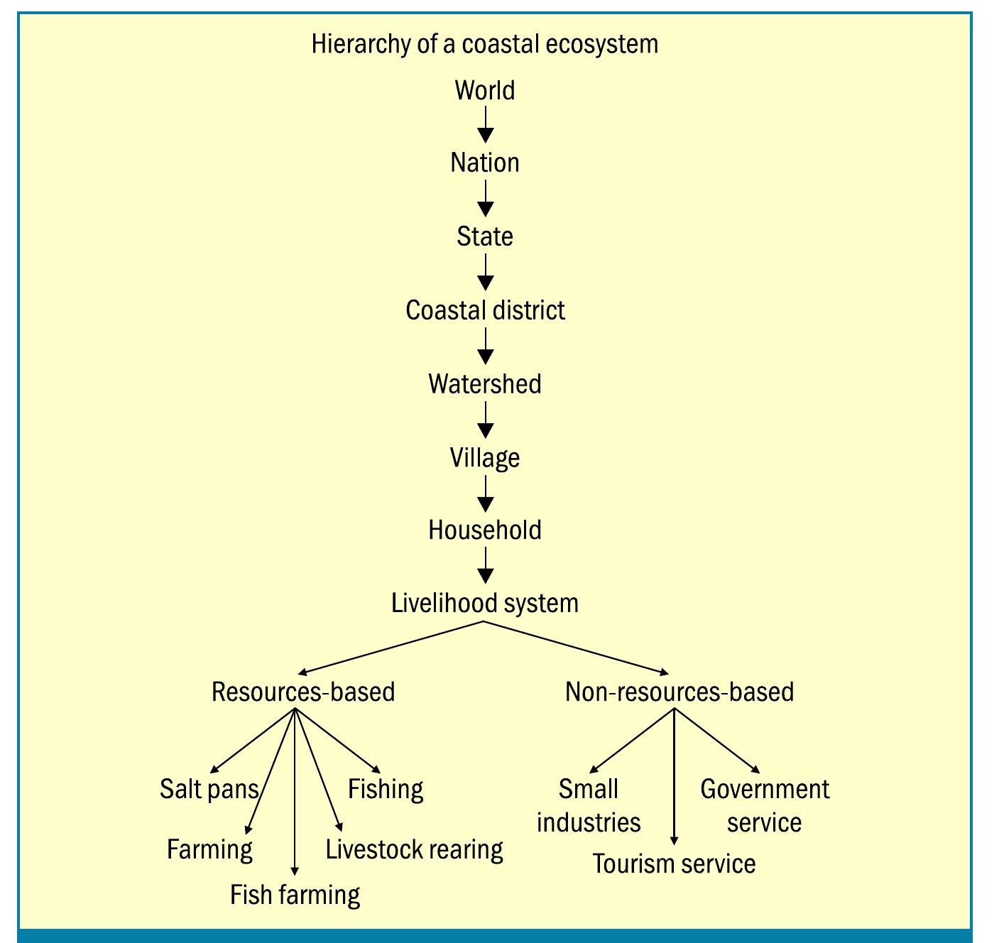 Hierarchy of a coastal ecosystem source adapted from conway