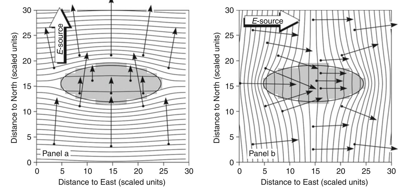Magnetotelluric interpretation, figure 5 plan view map of