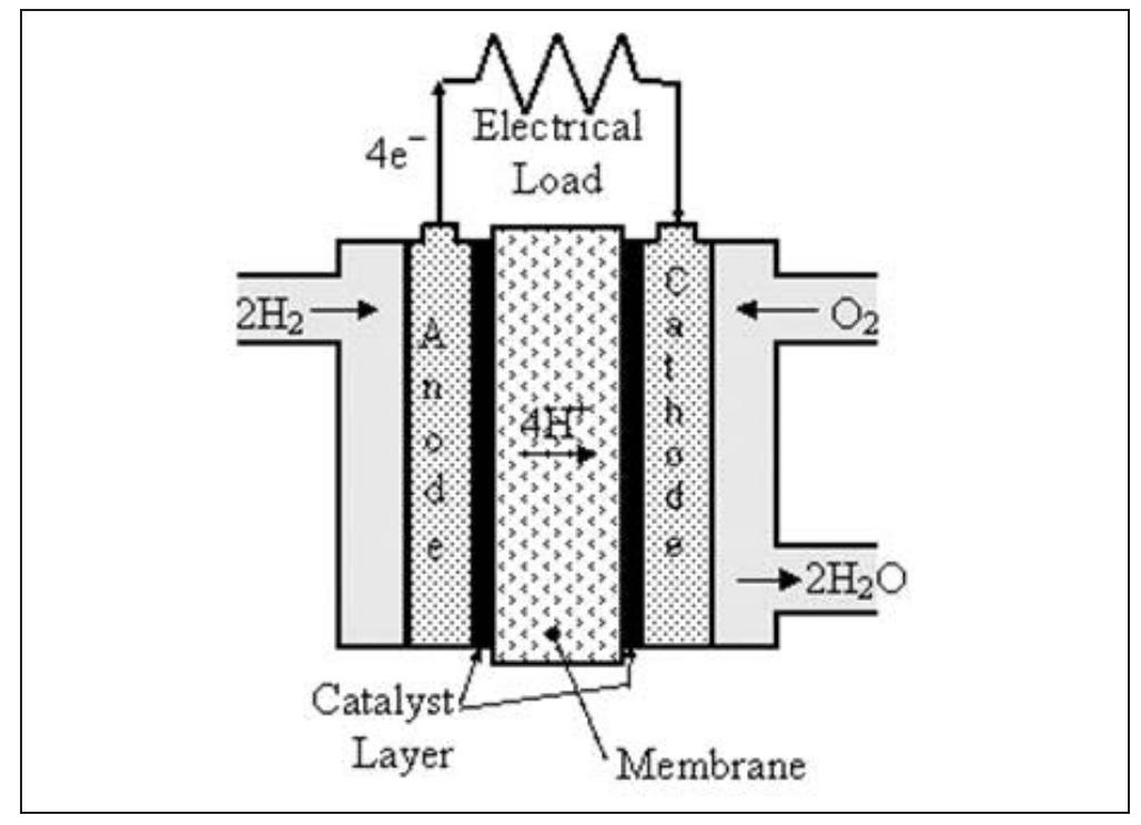 Figure 1 - Development of a Casting Technique for Membrane