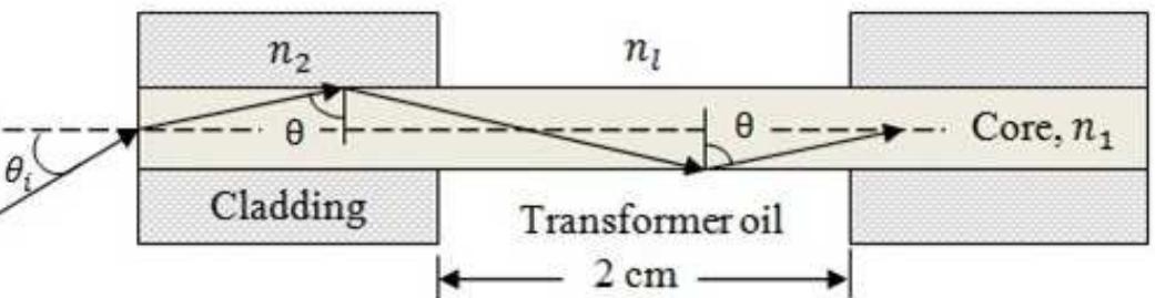 (b): propagation of laser beam through fiber optic sensor
