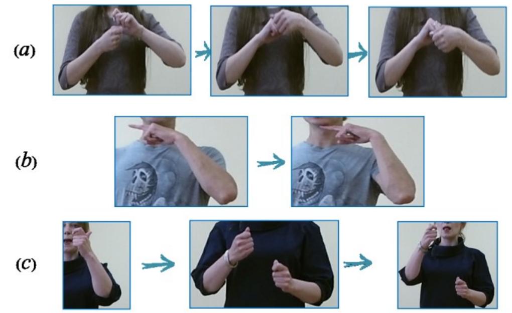 Examples of one-handed and two-handed gestures: orange (a),