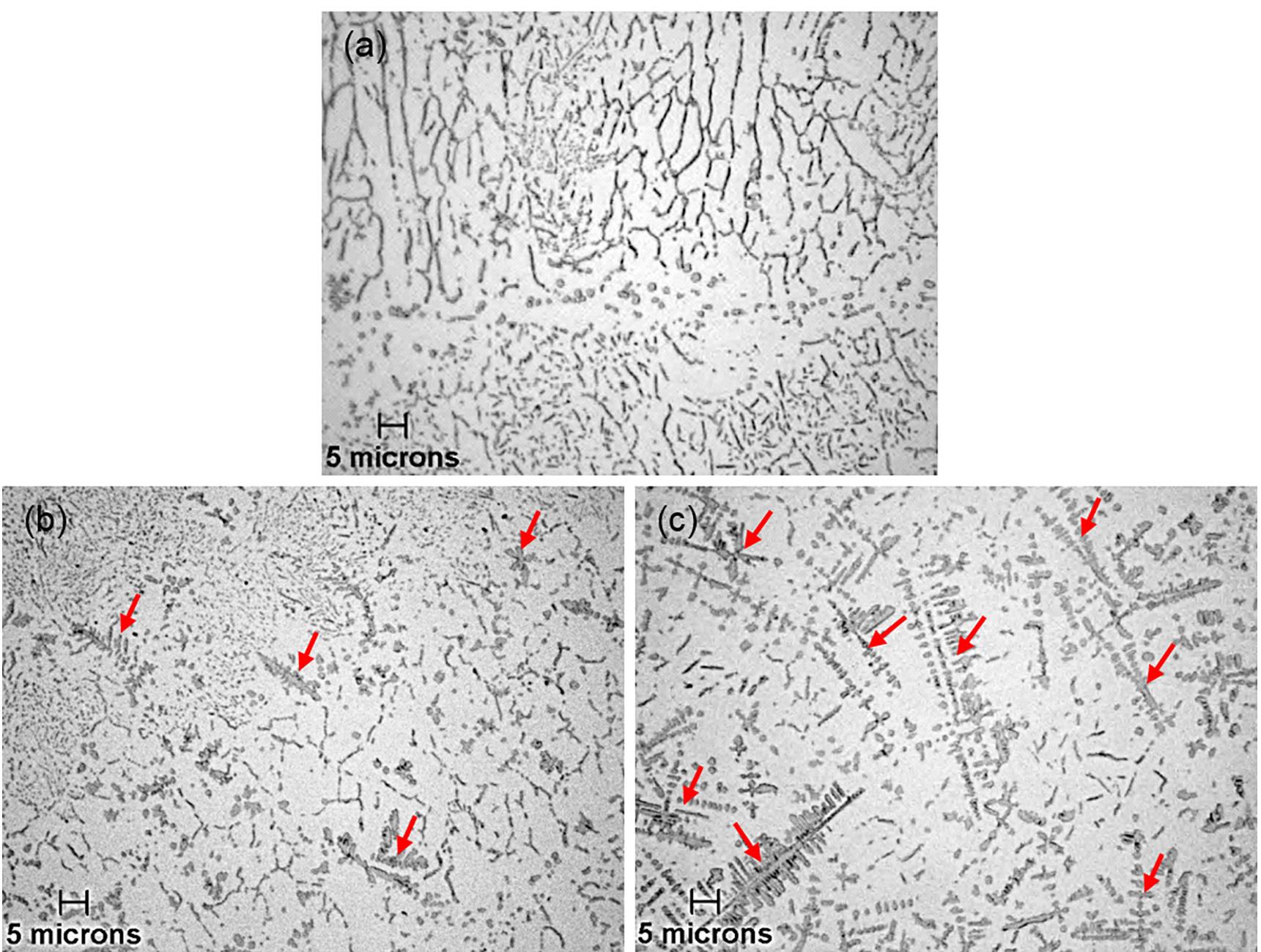 The formation and morphology evolution of dendritic tic in