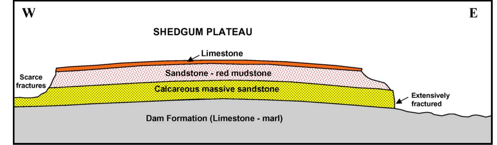 An east-west schematic cross-section across shedgum plateau