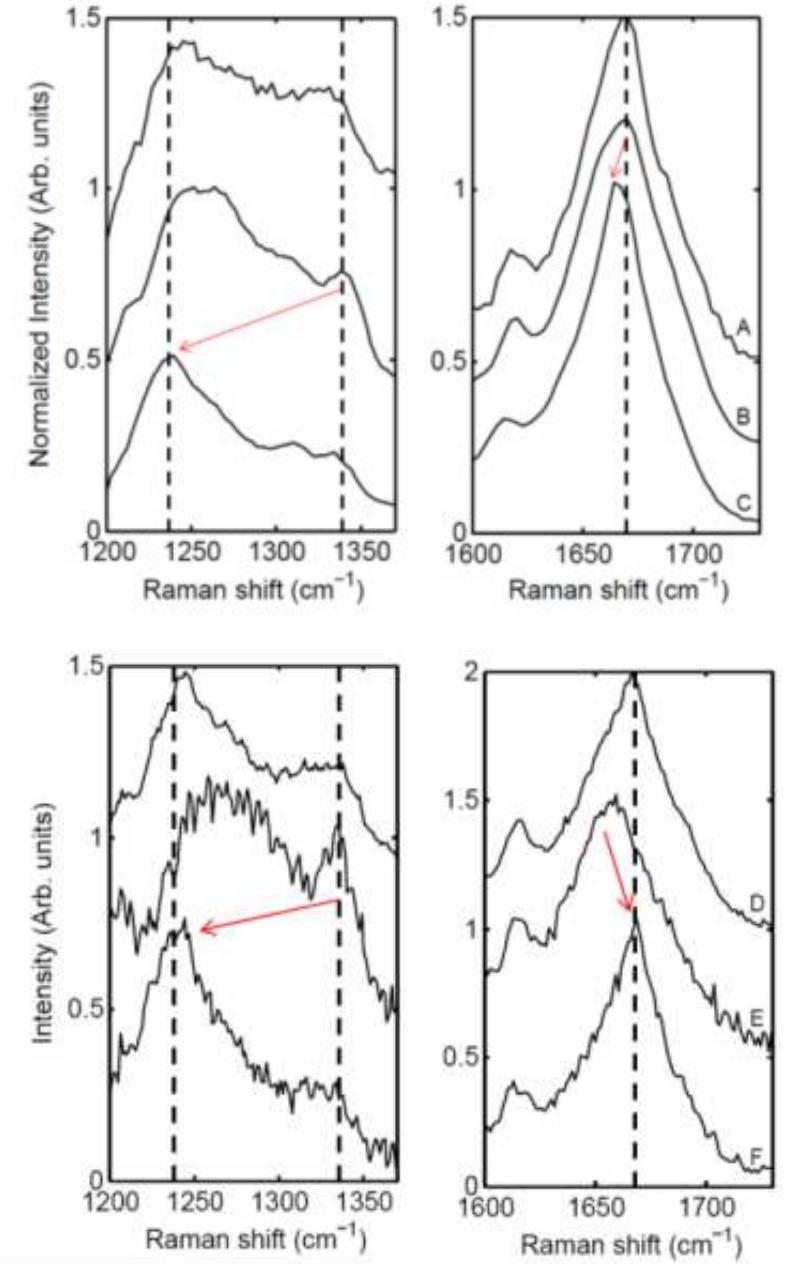 Raman spectra of the progression of masp1 films (top) and