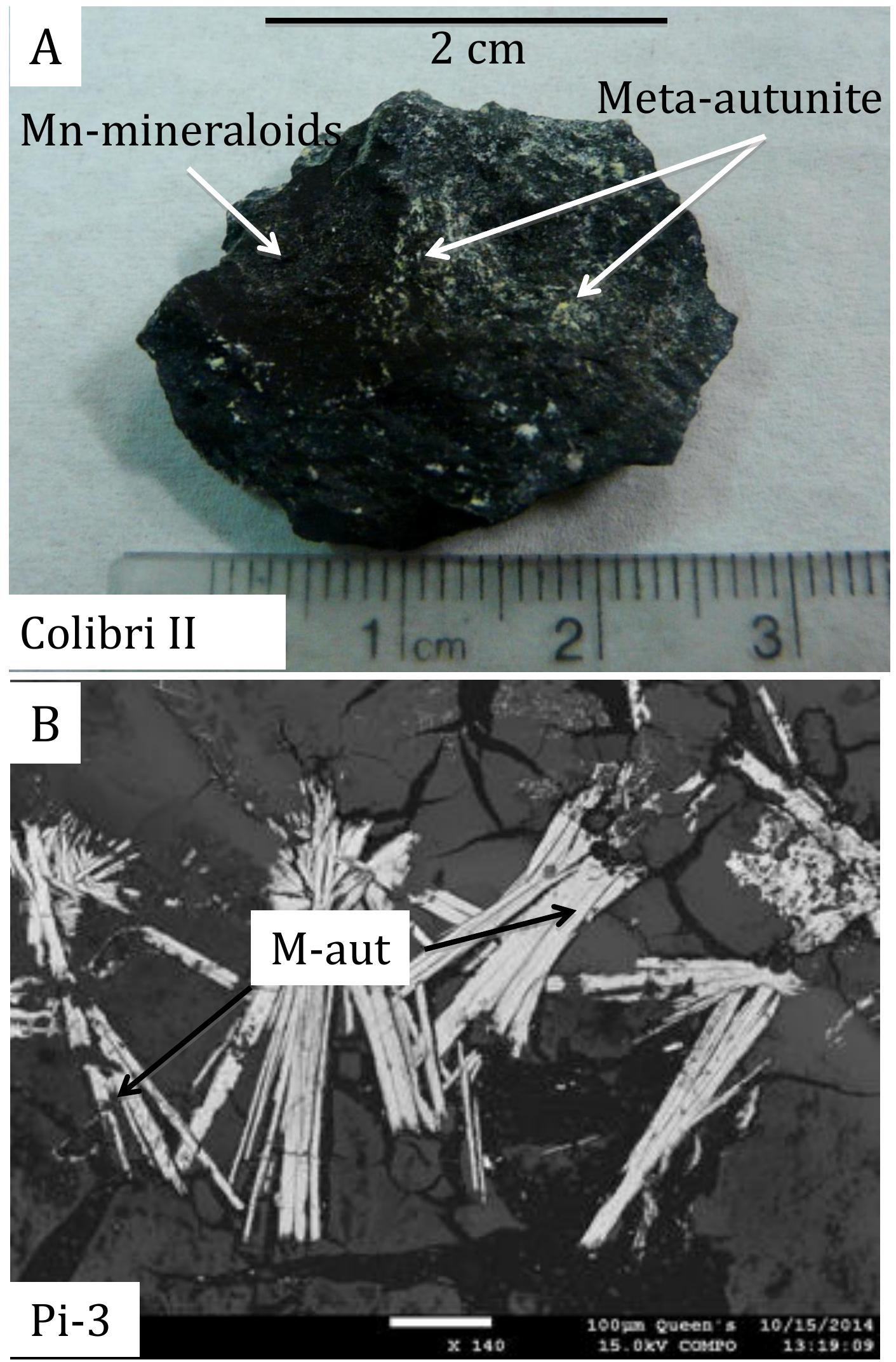 Figure 32 - The Uranium Mineralization of the Macusani