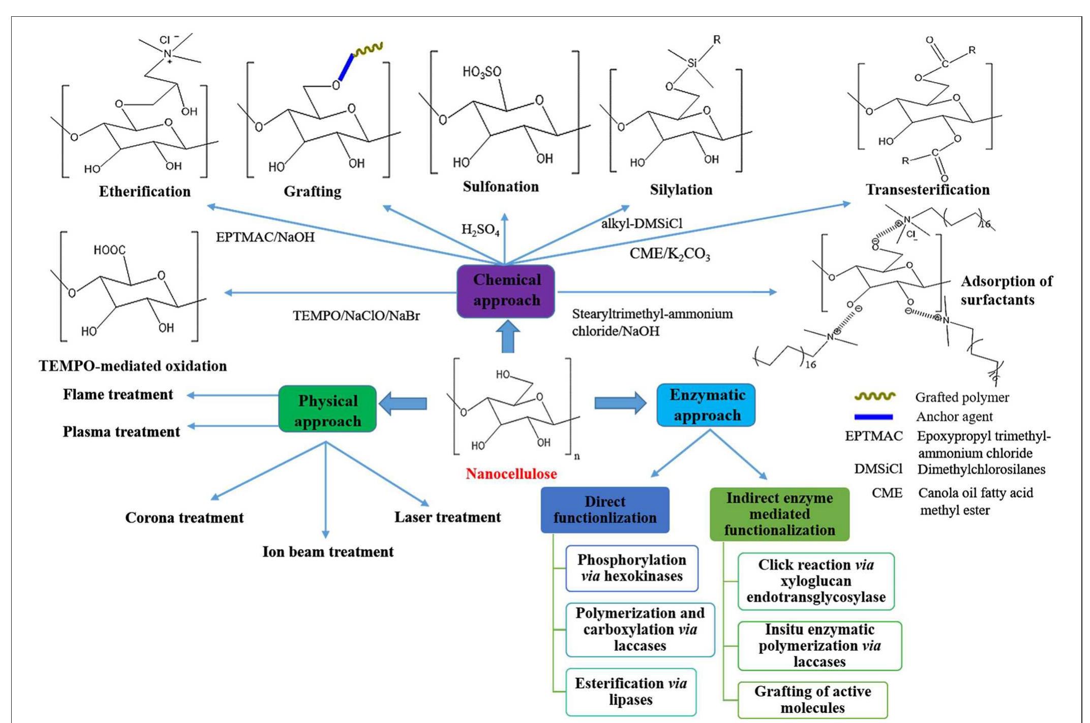 | schematic representation of the most commonly used surface