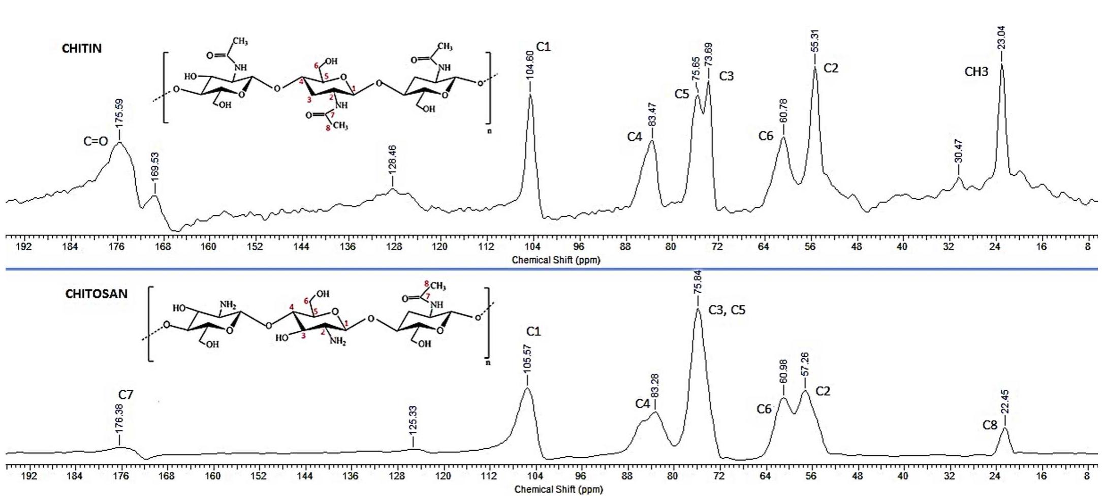 Cp-mas ‘°c nmr spectra of chitin and extracted chitosan.