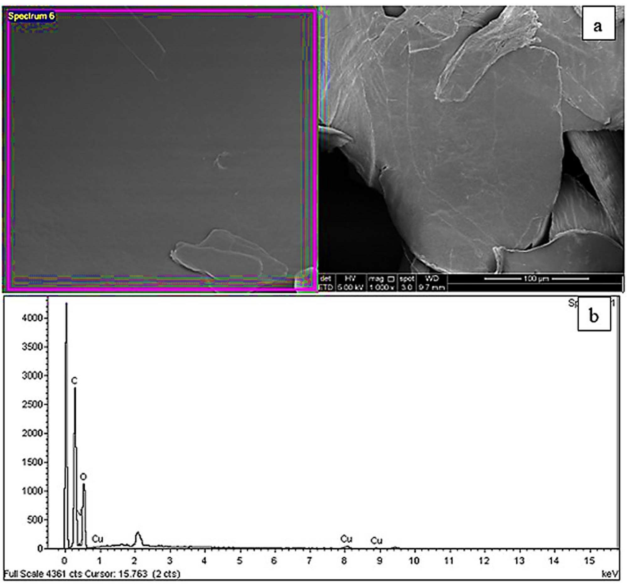 (a) sem images and (b) elemental spectrum of extracted