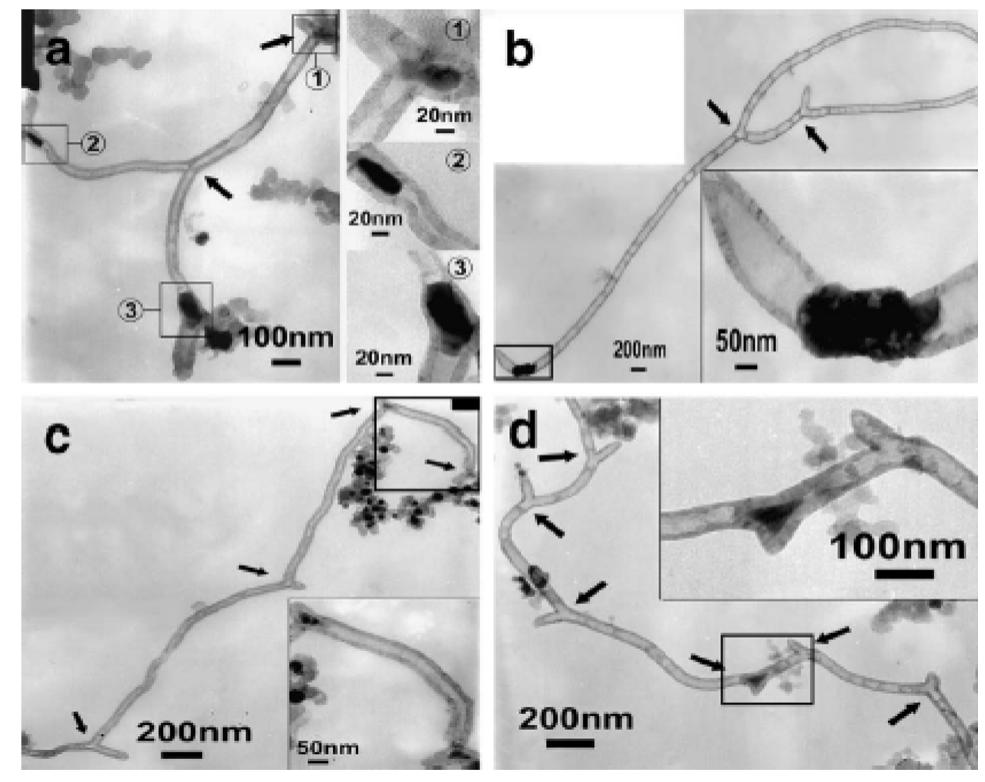 Transmission electron microscope images of branched carbon