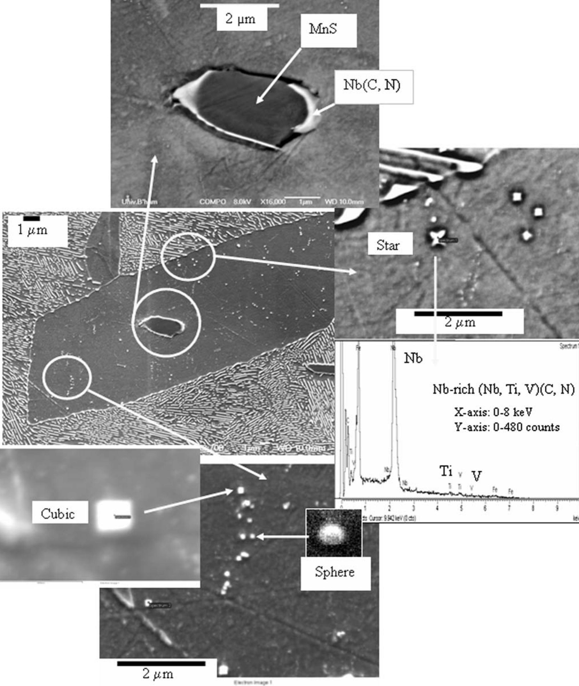 —various shapes (star, cubic, and spherical) of