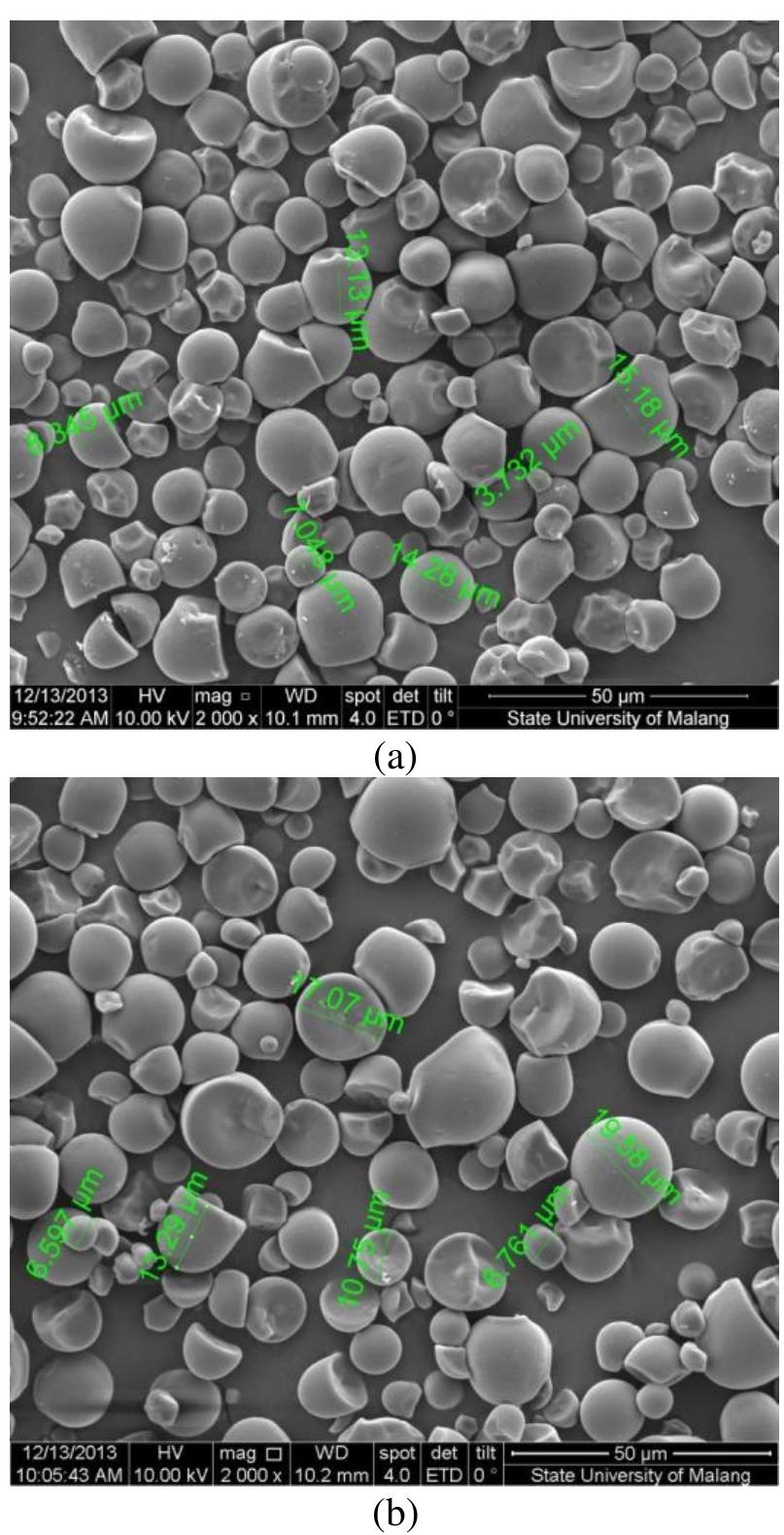 Sem analysis figure 4. sem micrograph of starch granule of
