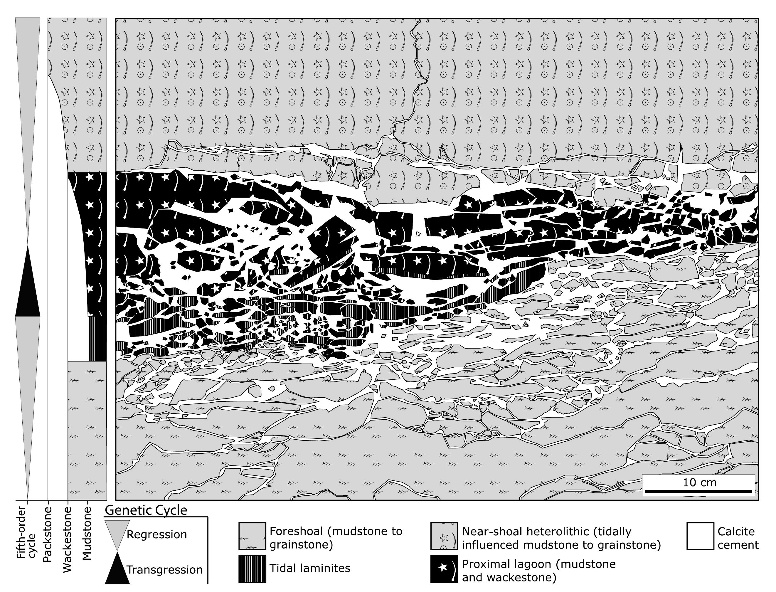 Schematic illustration of a calcite-cemented breccia based