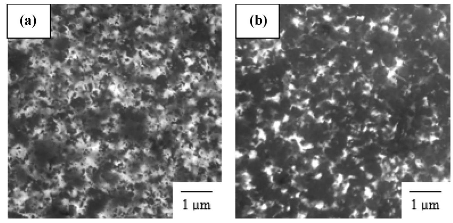 The reflected light microscopy images shown in fig. & were