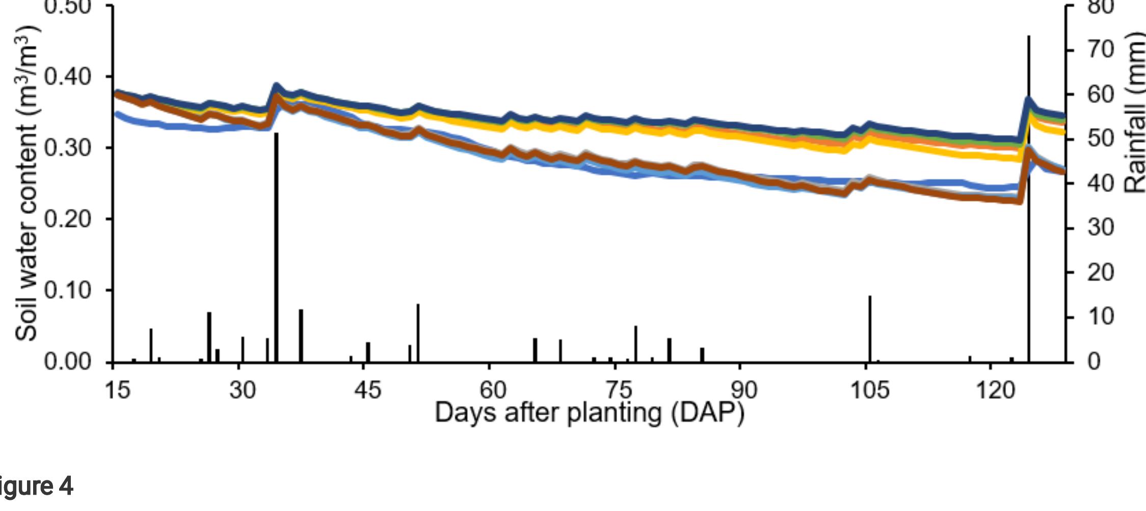 Figure 5 - HYDRUS-1D Simulation of Soil Water Dynamics and