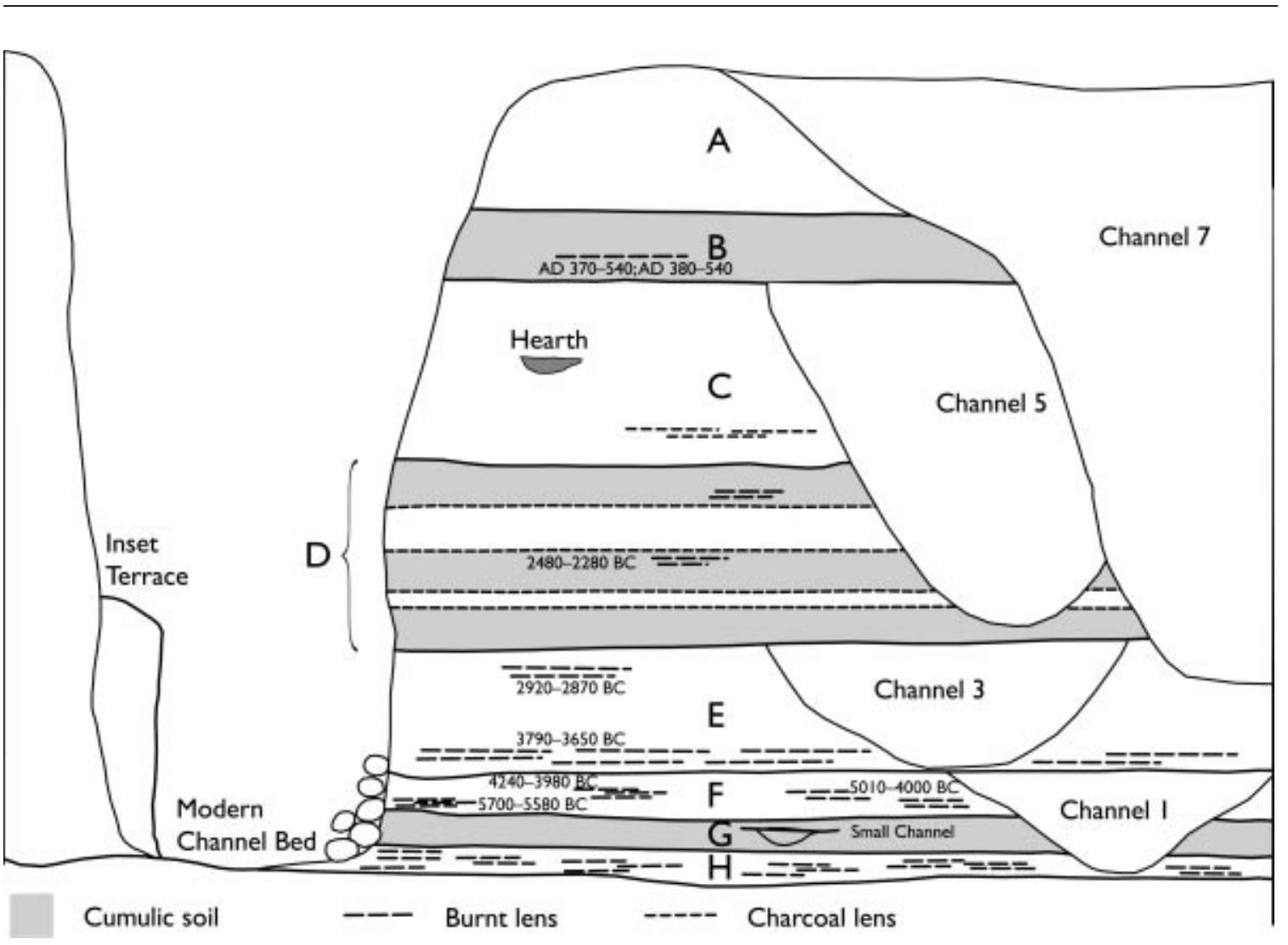 Schematic section of the main alluvial units and river