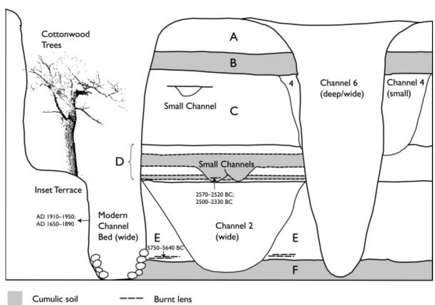 Schematic section of the main alluvial units and river
