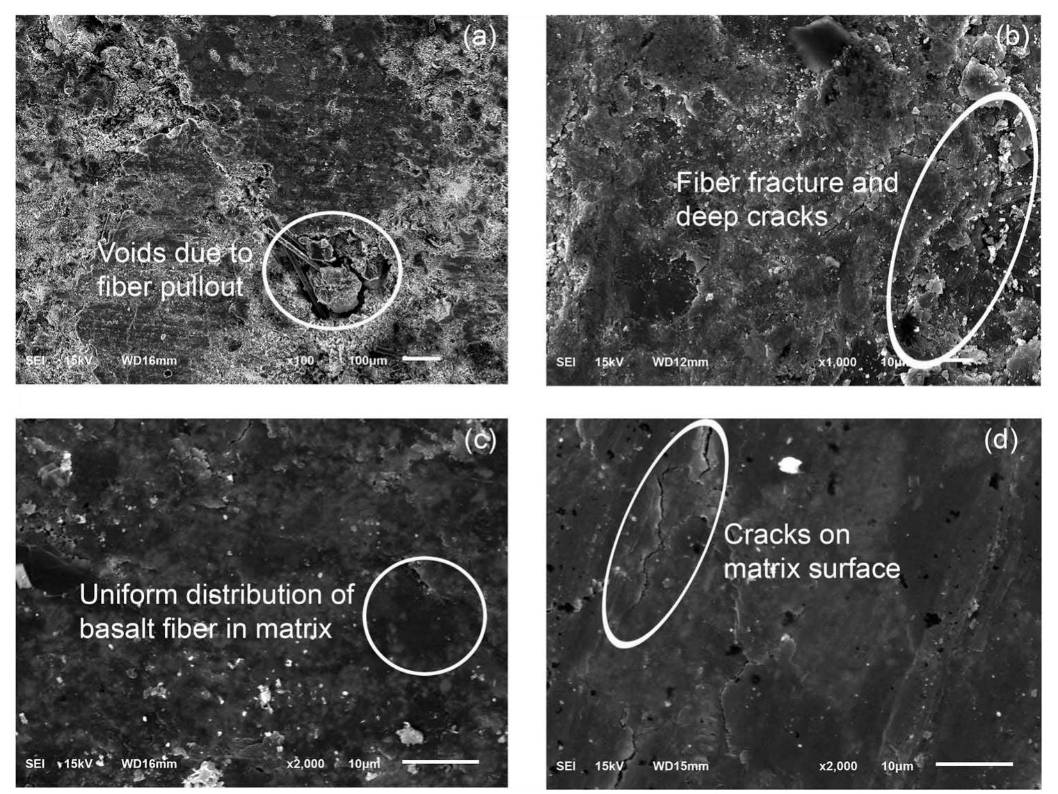 Sem images of brpcs: (a) brpc-2, (b) brpc-4, (c) brpc-6, and