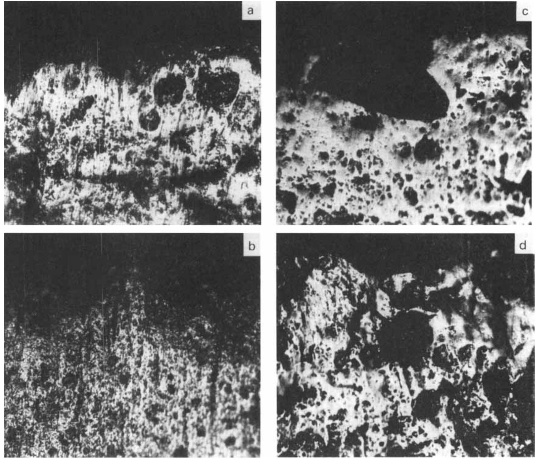 Ficure 5. photomicrographs of microwear on lunates.