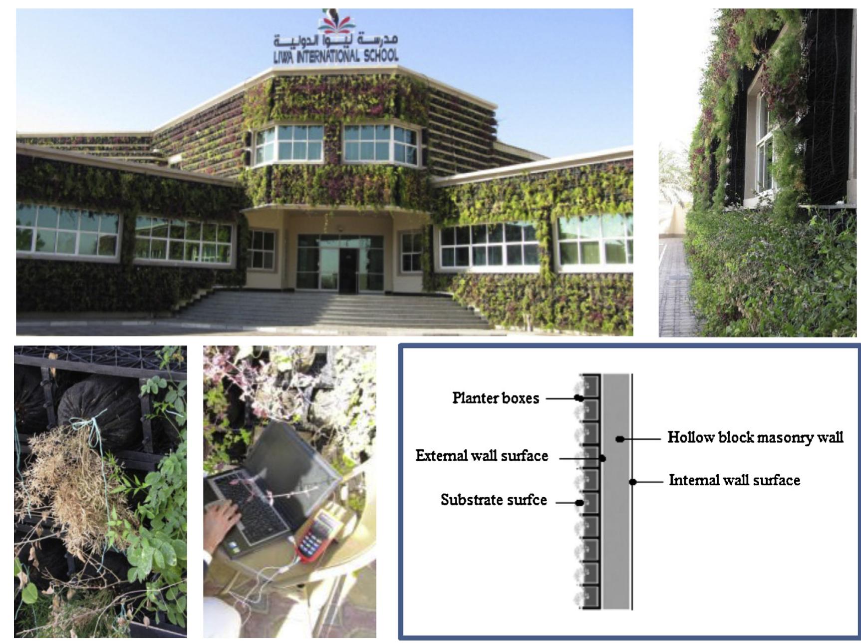 Green wall installation, showing living wall system