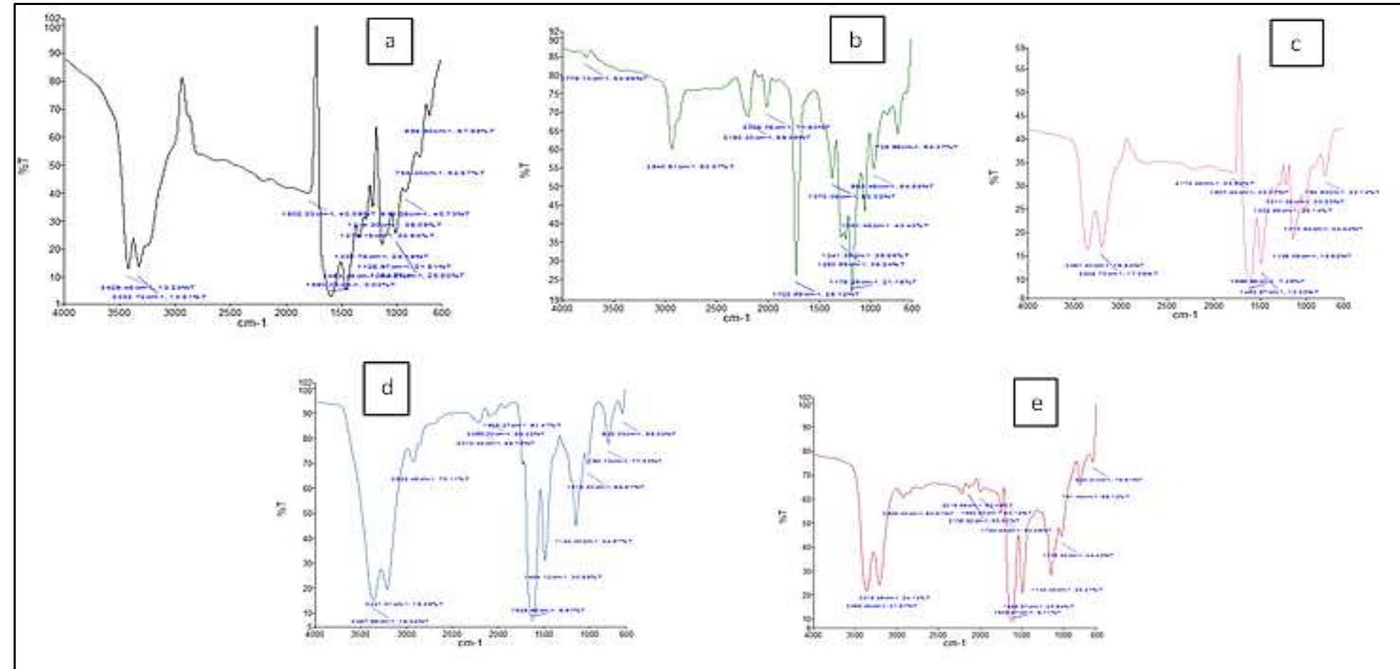 Ftir spectra of urea microcapsules shown that the valleys