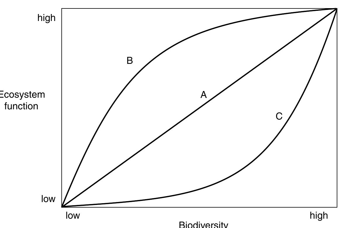 (PDF) The links between biodiversity, ecosystem services and human well ...