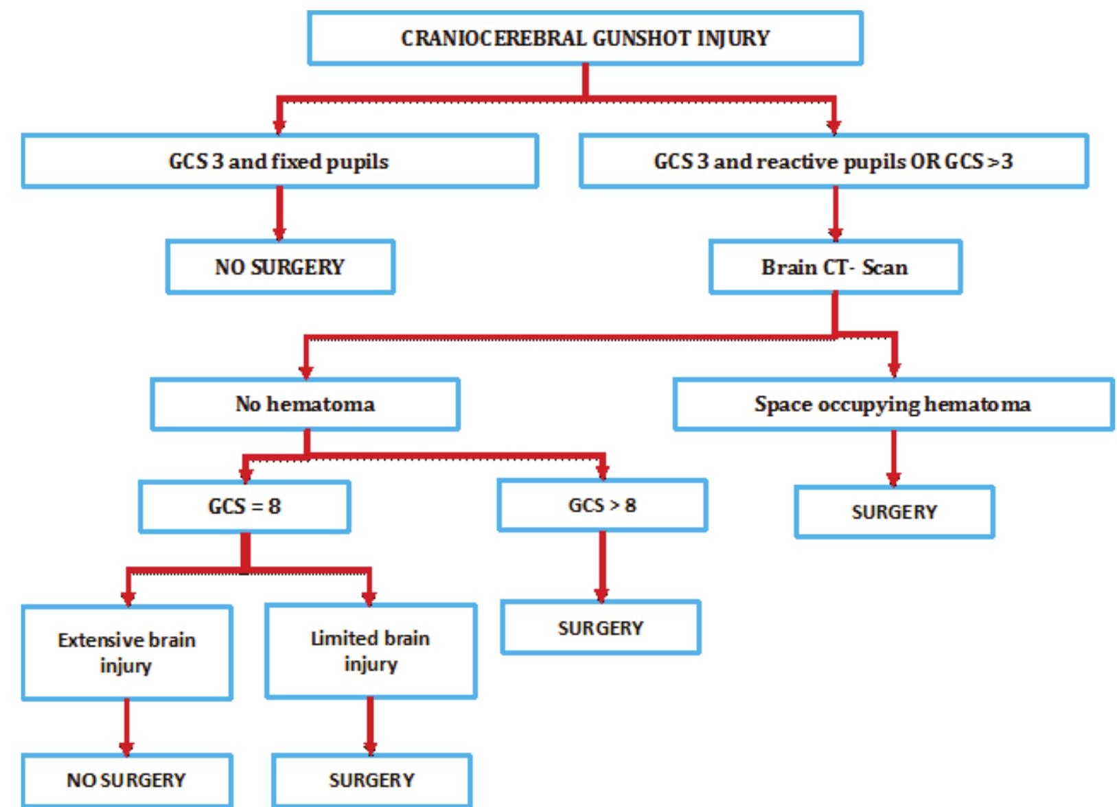 Management guideline for craniocerebral gunshot injury