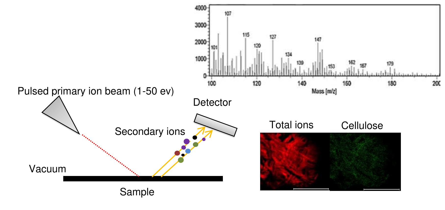 The principle of tof-sims (spectrum and images measured from