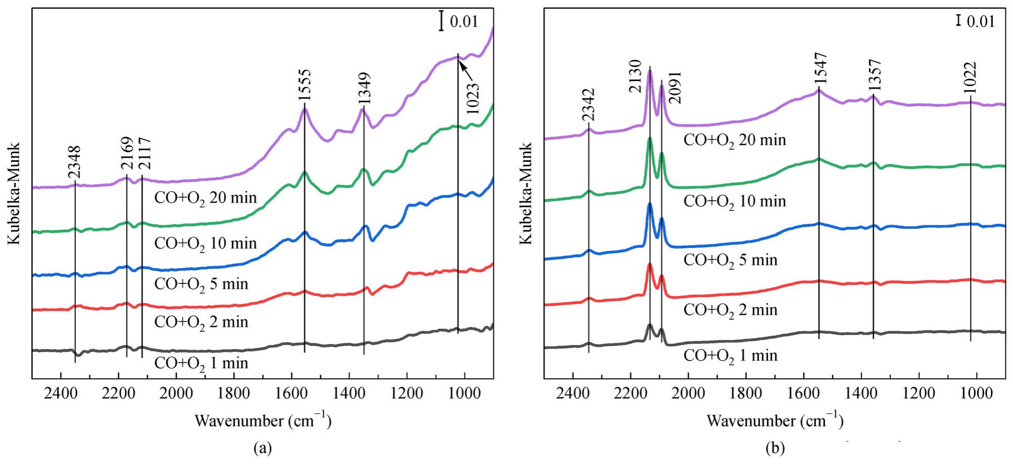 Jn situ ftir spectra of co and o, co-adsorption at 250°c for