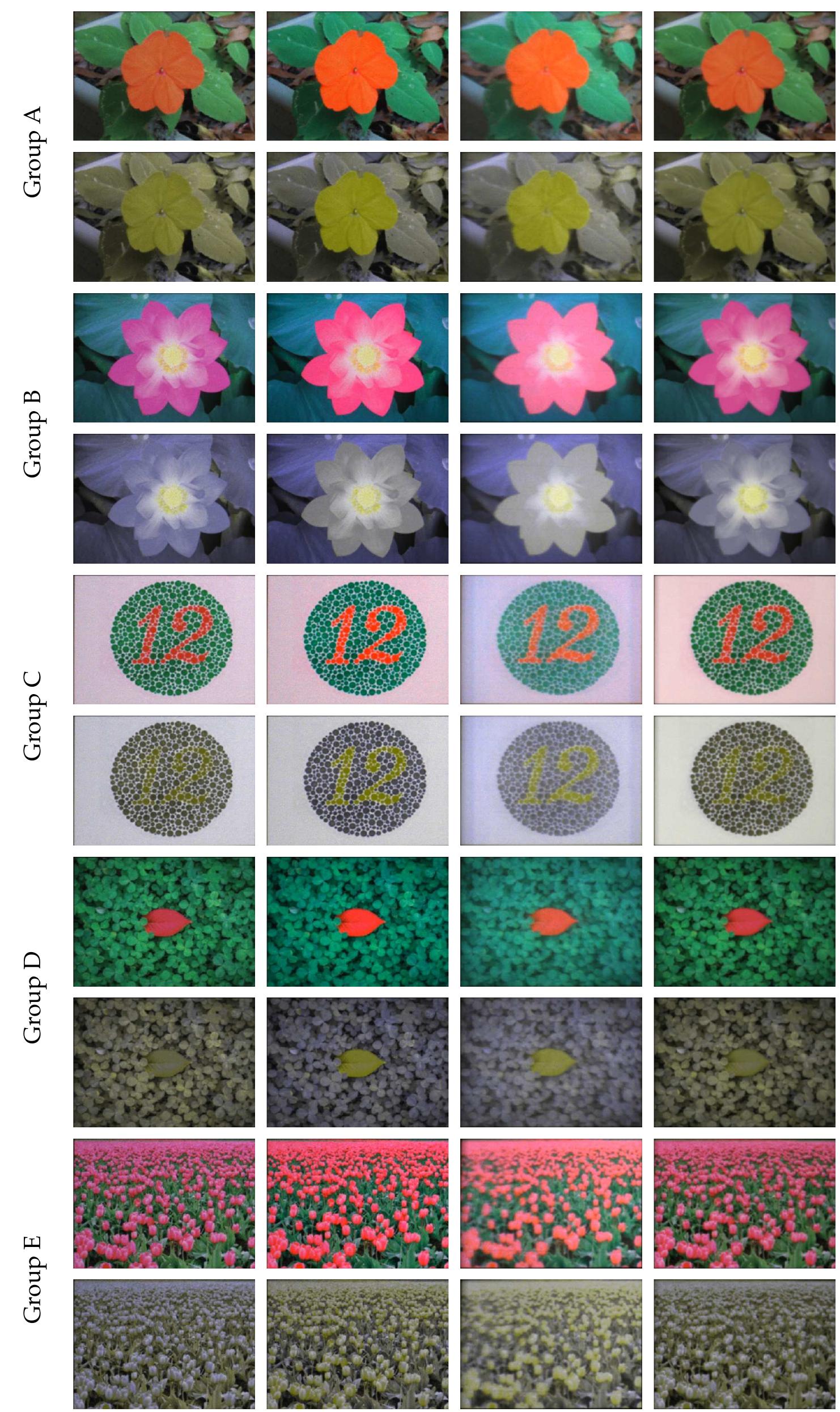 Pictures in odd rows from left to right are: images captured