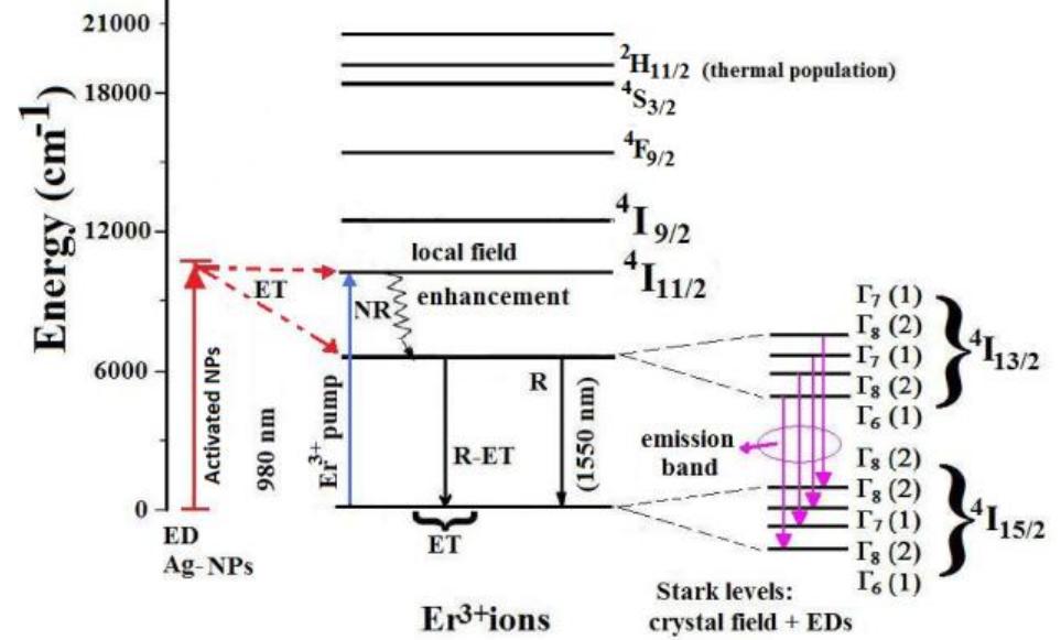 Energy diagram of the er** showing the splitting of levels